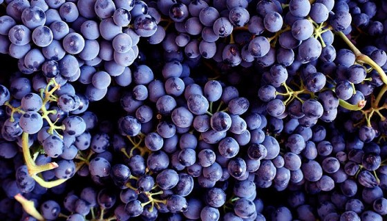The Different Maceration Methods | Blog INVINIC