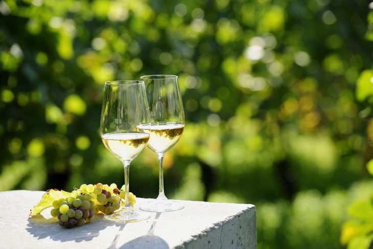Verdelho and Verdejo: What's the difference? | Blog INVINIC