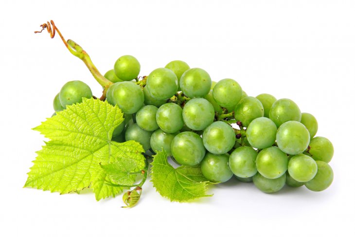 VDN: The best Muscat drink you've never heard of | Blog INVINIC